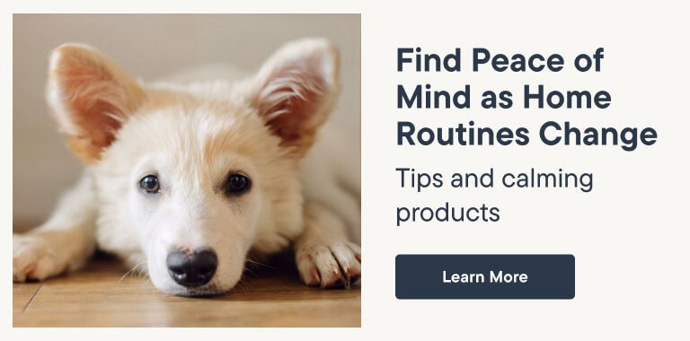 Tisol | Pet Nutrition & Supply Store